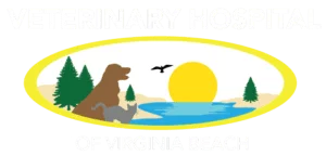 Veterinarian in Virginia Beach, VA | Veterinary Hospital of Virginia Beach